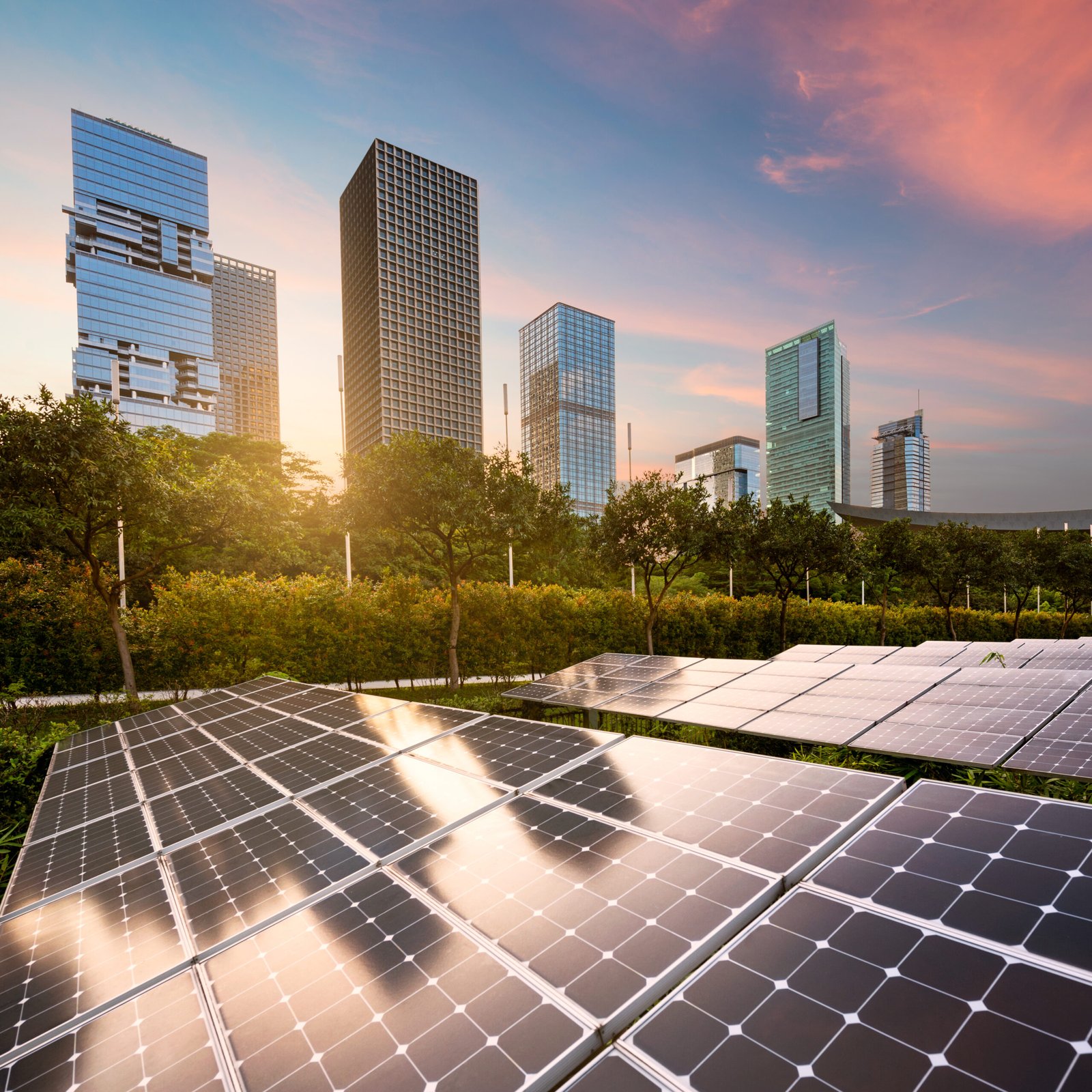 Decarbonization & Green Innovation in ASEAN | WeConnect Asia